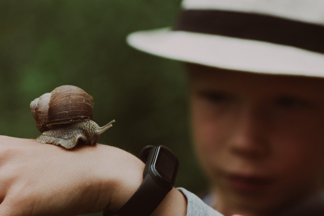 Ce trebuie sa stiti daca va doriti un melc ca animal de companie - E-vet